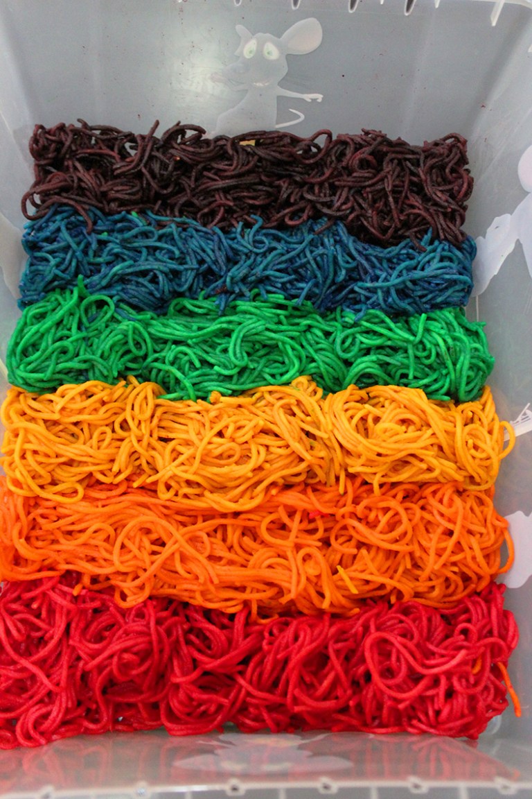how to dye noodles for rainbow sensory play | marmite et ponpon