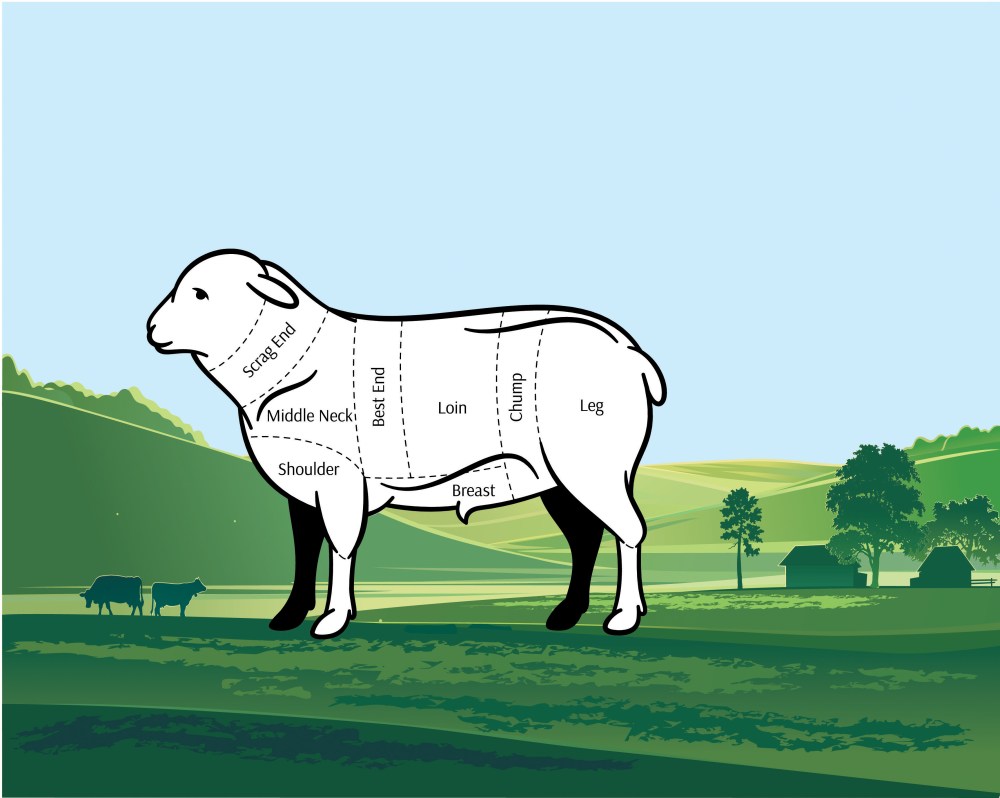 Meat cuts guide | marmite et ponpon