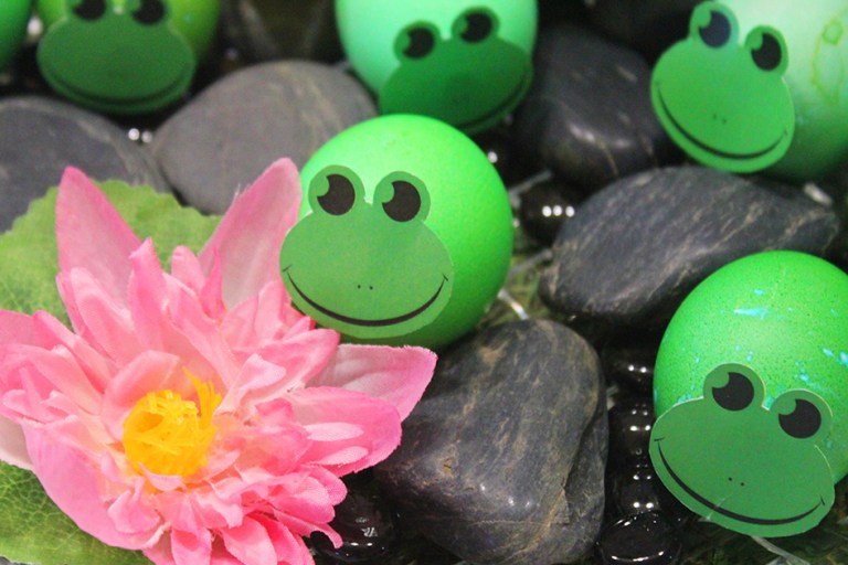 Frogs Easter eggs – DIY | marmite et ponpon